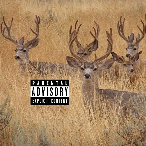 Five Deer | Five Deer in the Coupe