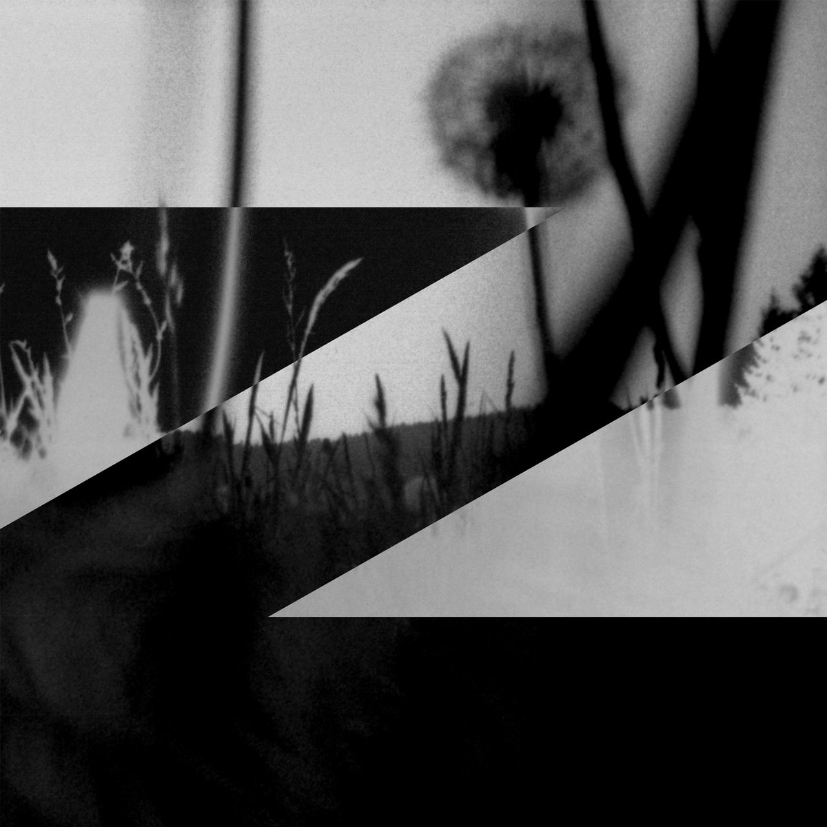 zeotrope 03: Raw | zeotrope
