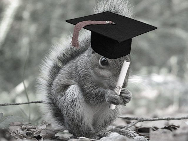 AFLPT | Squirrel Teacher