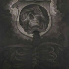 Lazarus Bird | Burst