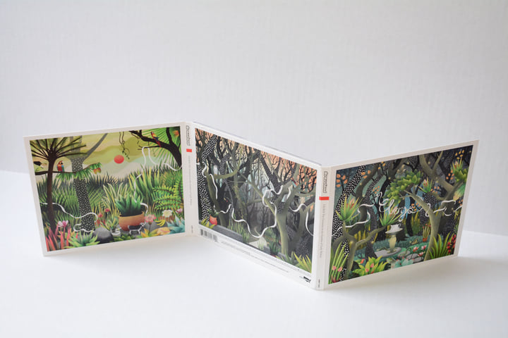 Shara Worden Sufjan Stevens