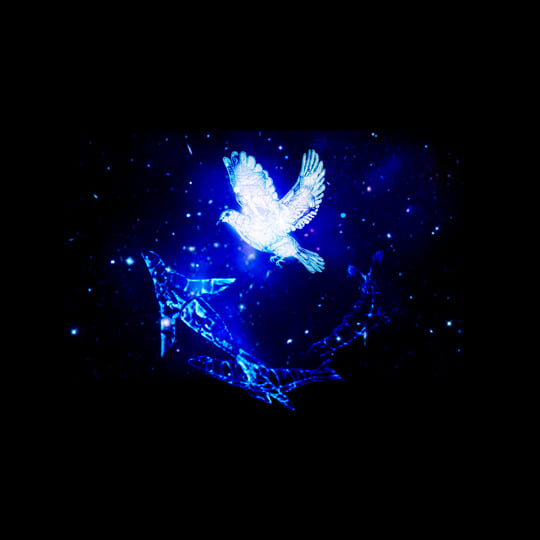 Coldplay Magic Dove