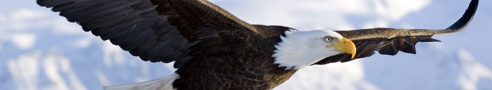 Music | Jordan Seidel