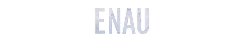 Arctic Lights | Enau