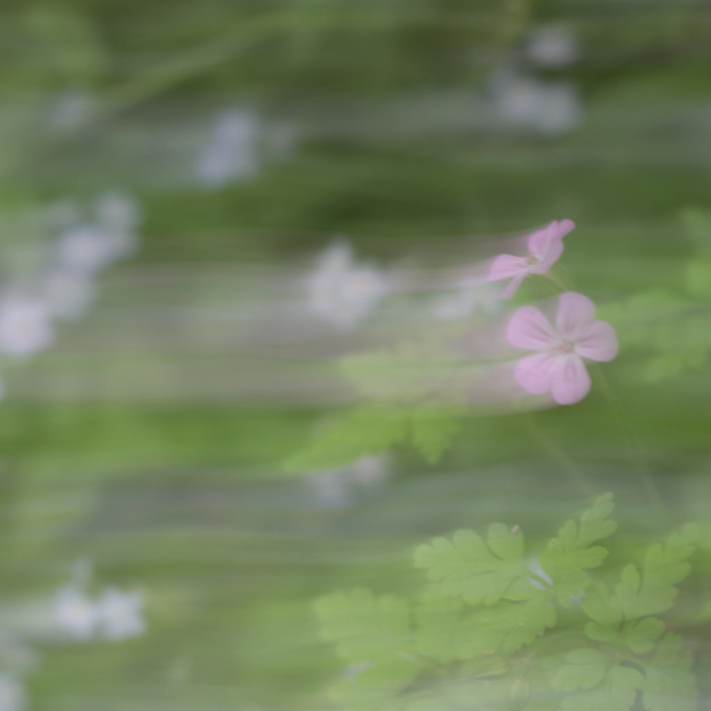 clemturner's collection | Bandcamp