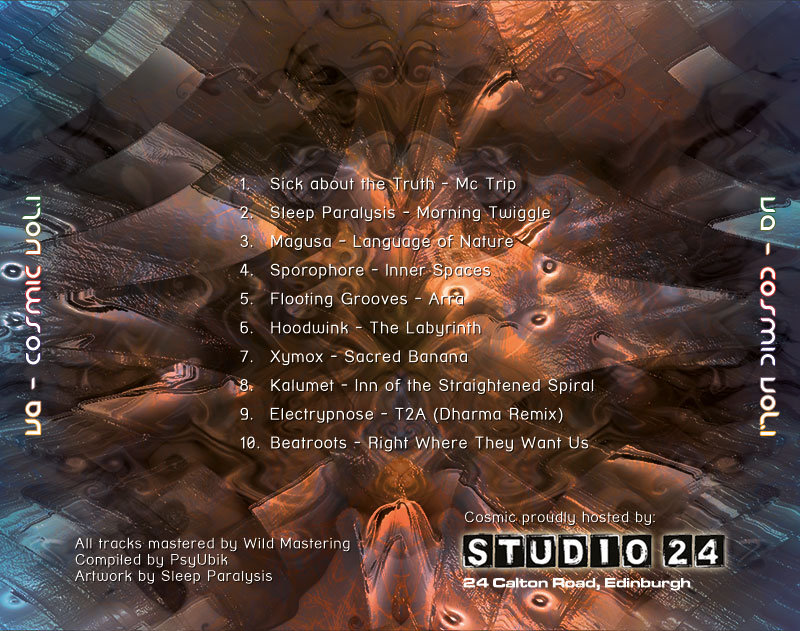 Cosmic Vol.1 | Planet Monkey Records