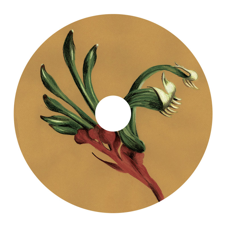 Waiting | Grace Cooke