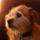 Five Years of Freecember | Fake Four Inc.