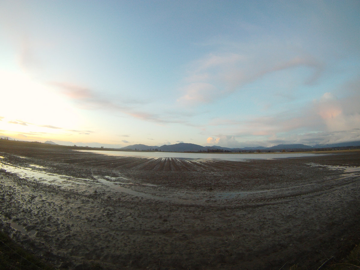 The Muscle Relaxers - little heart | the muscle relaxers | language arts