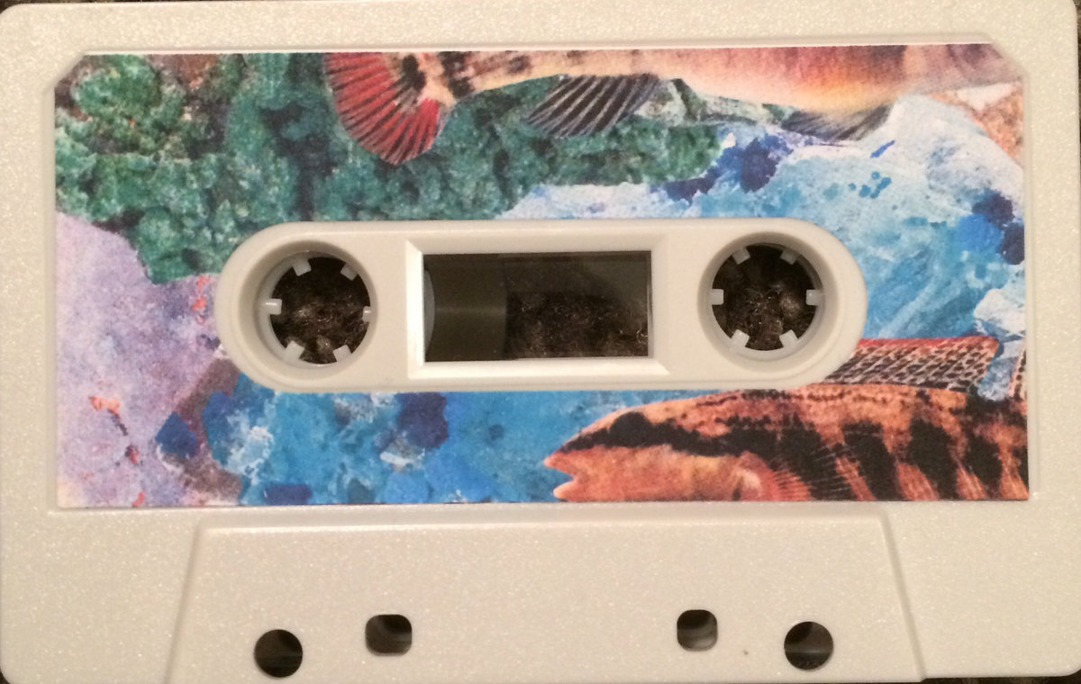 Yen Pox | Paa Annandalii | Celestial Paths Ltd.