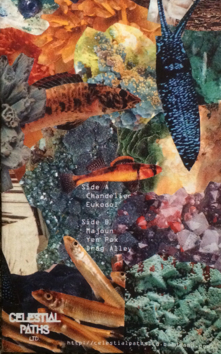 Yen Pox | Paa Annandalii | Celestial Paths Ltd.