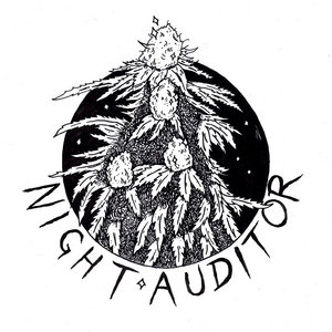 Music | Night Auditor