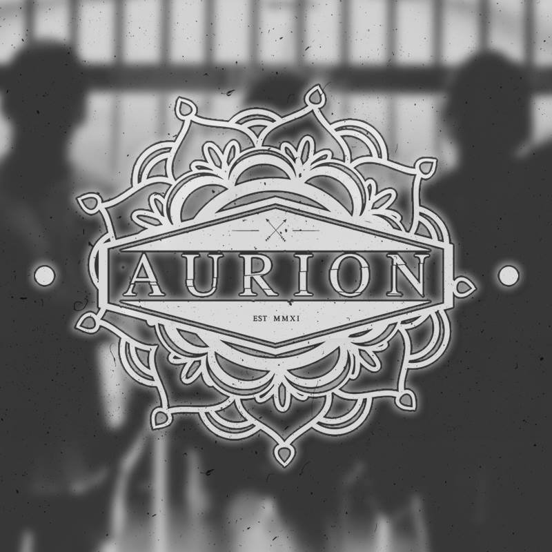 Stray Home | AURION