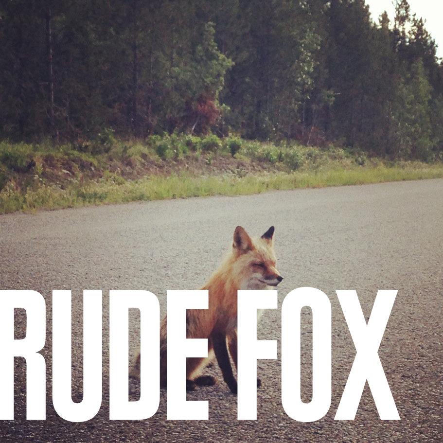 Artists | Rude Fox Records