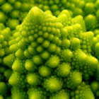 An Analog Guy in a Digital World | Martin Roth