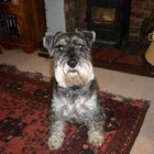 Exploding Trees & Airplane Screams | Patterson Hood