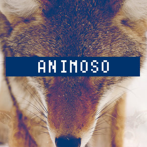 Music | ANIMOSO