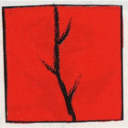 Parallel Lives | Meteor