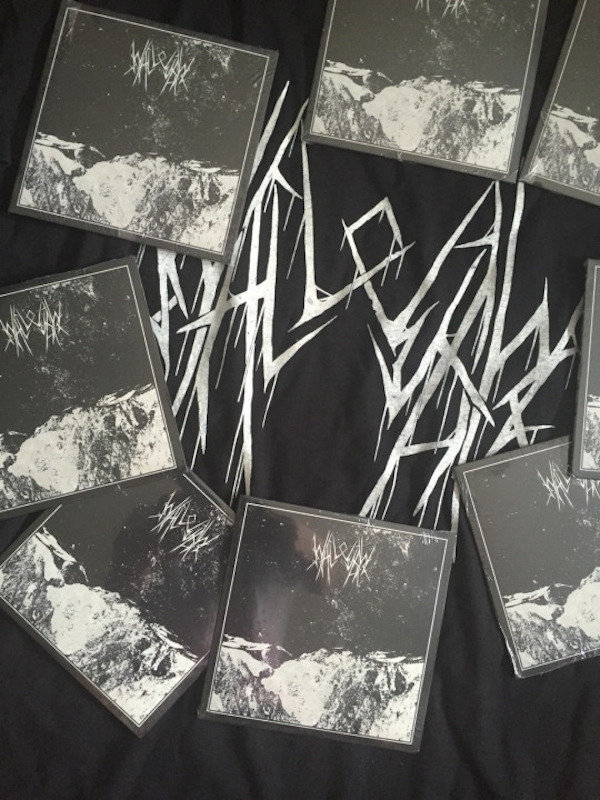 Vanishing In Bloom | Wallower