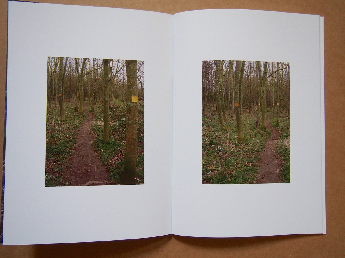 Pheobe riley Law - 'desire lines' | Jez riley French