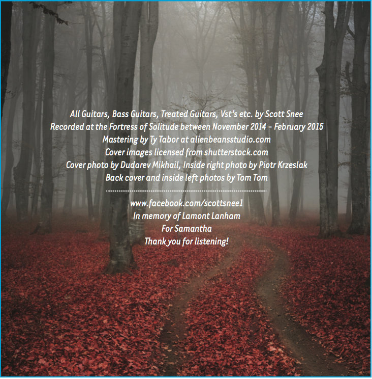 Distant Fire | Scott Snee