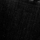 For Long Tomorrow | toe