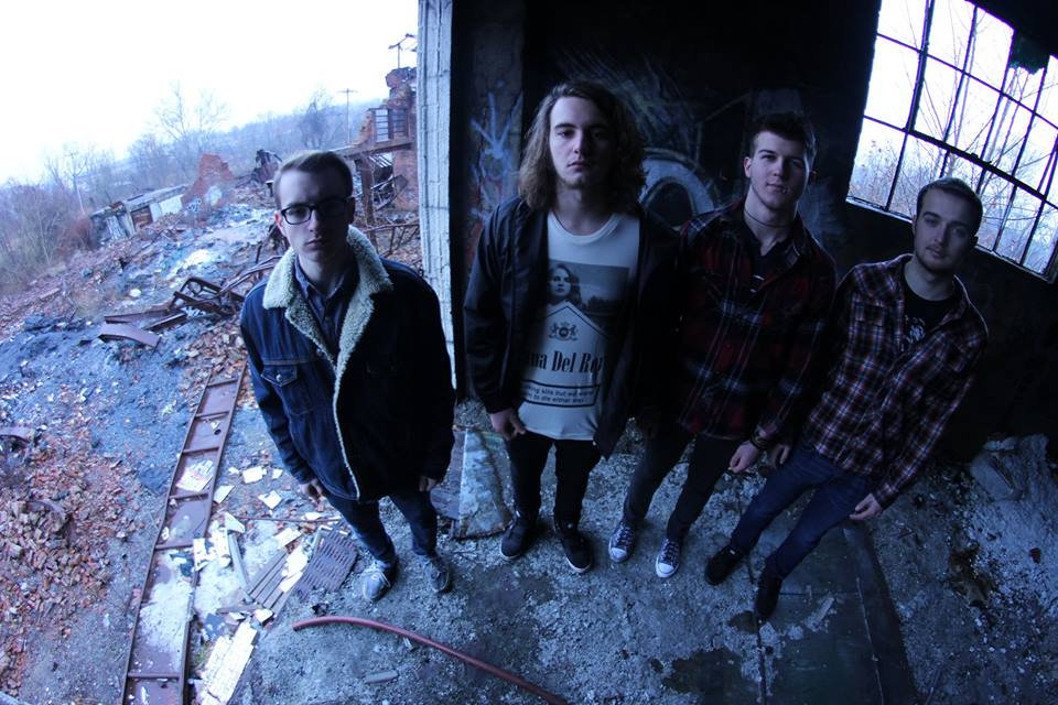 Demo | Colours Contorted