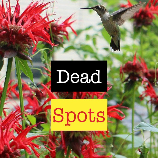 EP | Dead Spots