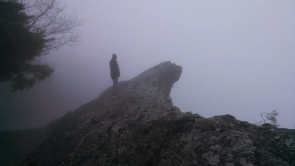 The Gadfly Meme | The Gadfly Meme