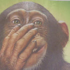 Morphogenesis | Steve Coleman