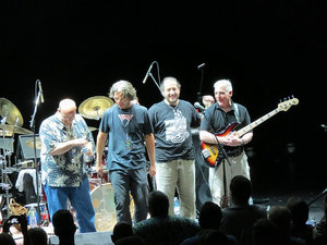 Music | Helmet of Gnats