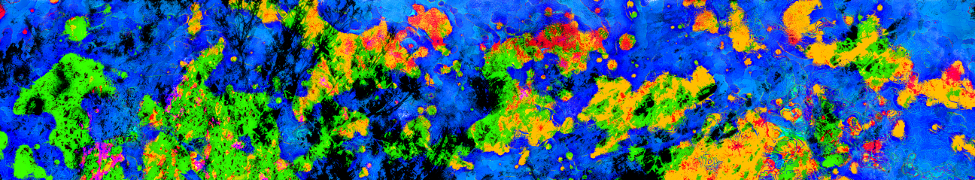 Feel | Daniel Trainor-McKinnon