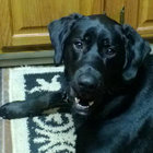 The Quiet Life | Fresh Daily