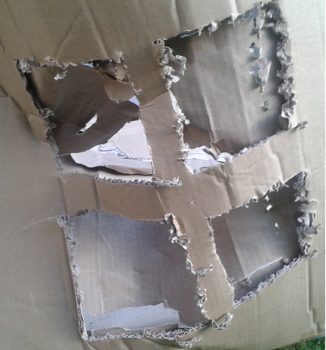 Treetop Adventures in Cowland | Cardboard Cut-Out Windows