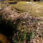 Bloody Keep - Bloody Horror | Bloody Keep | Grime Stone Records