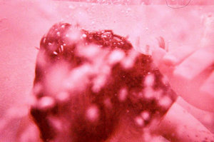 Music | The Phoenix Bridge Company