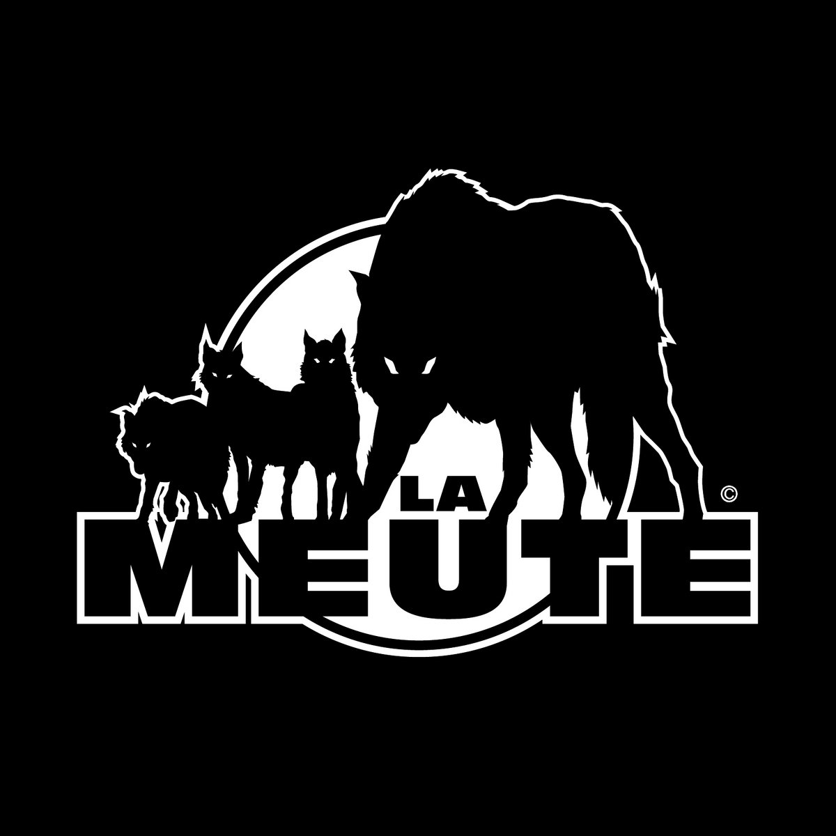 Qui Tire Les Ficelles ? [Acapella] | LA MEUTE