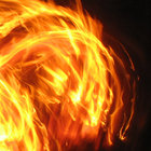 Psychic Lemon | Psychic Lemon