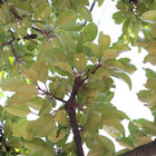 Harbor LP | tomppabeats