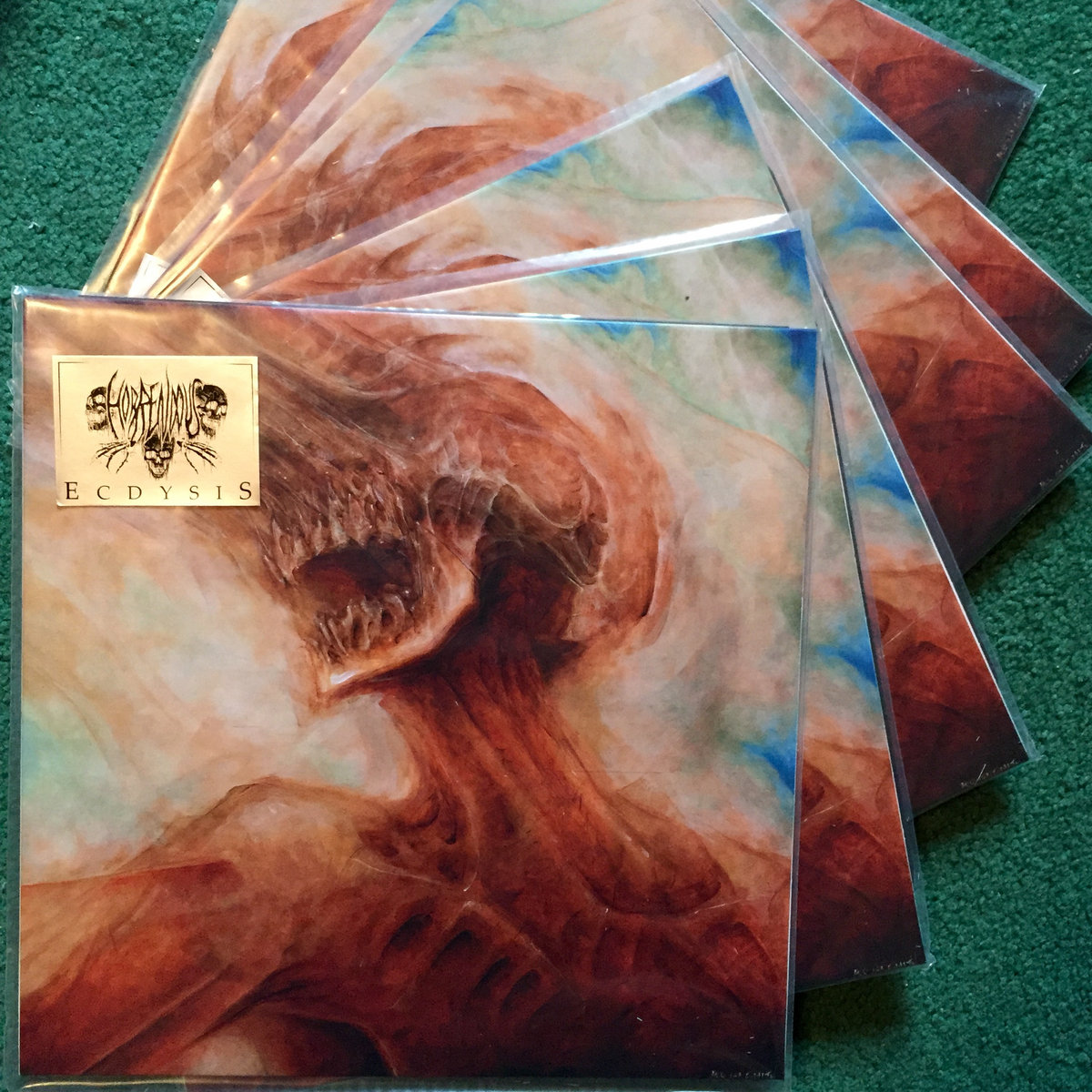 Ecdysis | Horrendous