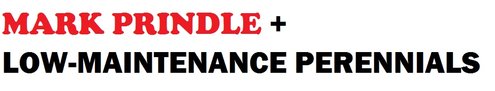 Music | Mark Prindle