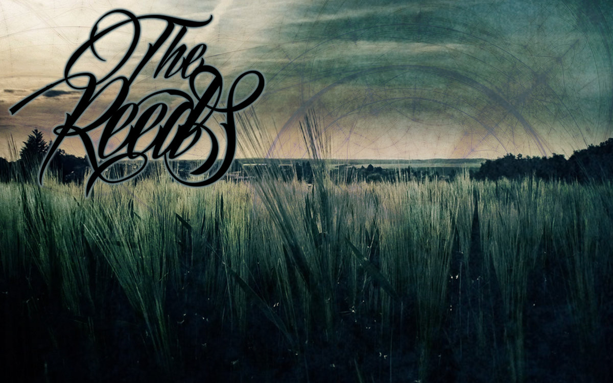 Music | The Reeds