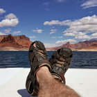 Harvest | Of The Trees