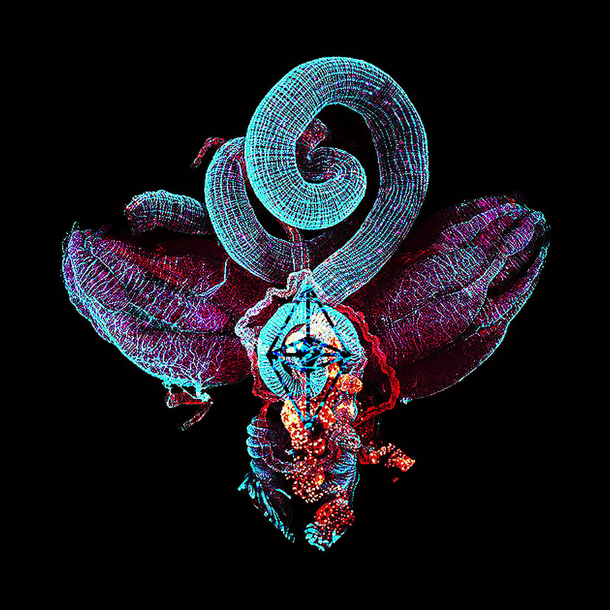 FROM HUMMBS TO DOTS (Live) | RHOMBVS | RHOMBVS (YORM HAN)