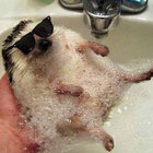 Splinters From An Ever-Changing Face | End