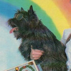 Samurai Math Beats | Bogdan Raczynski