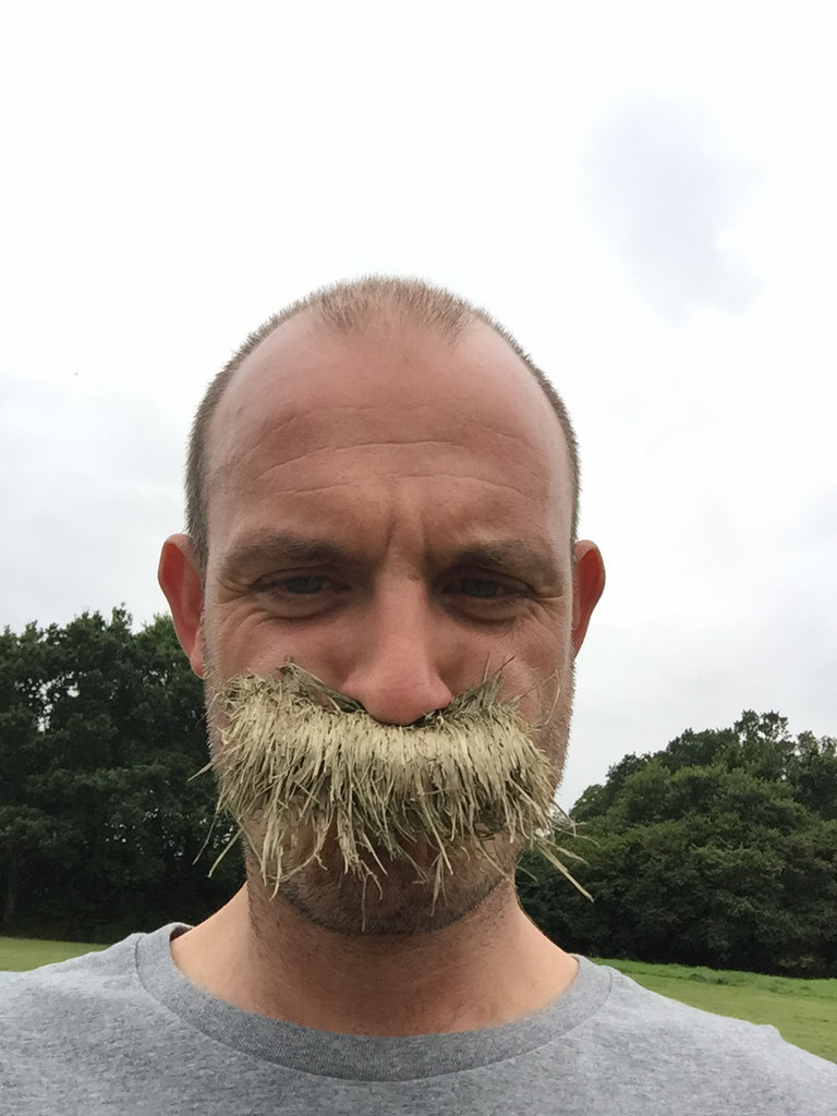 petermasson's collection | Bandcamp