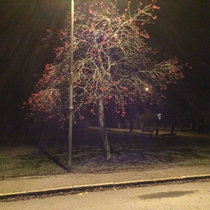 dombyshum's collection | Bandcamp