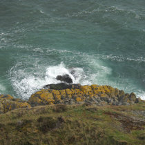 karlegan's collection | Bandcamp