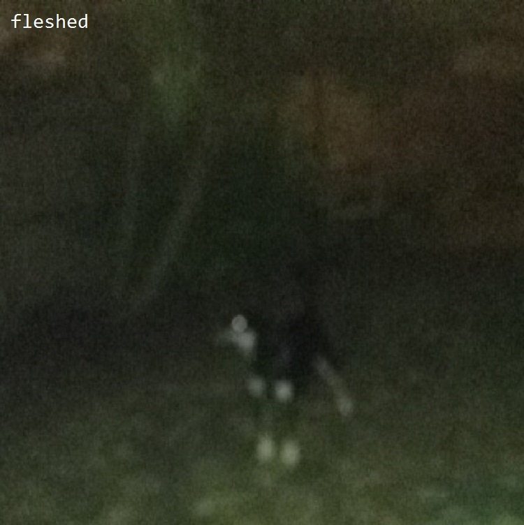 fleshed e.p. | fleshed